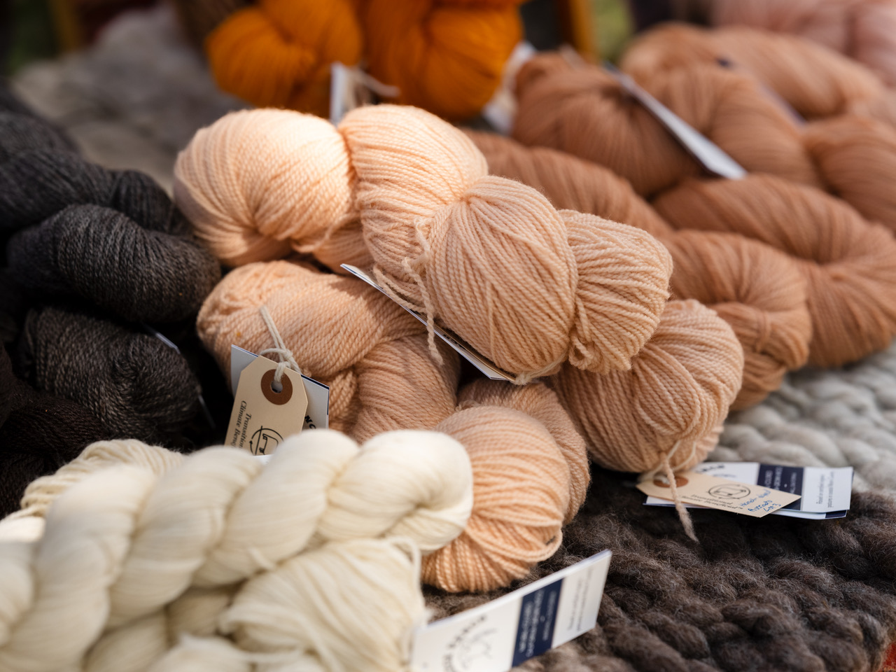 Fibershed Gala - Barinaga Ranch